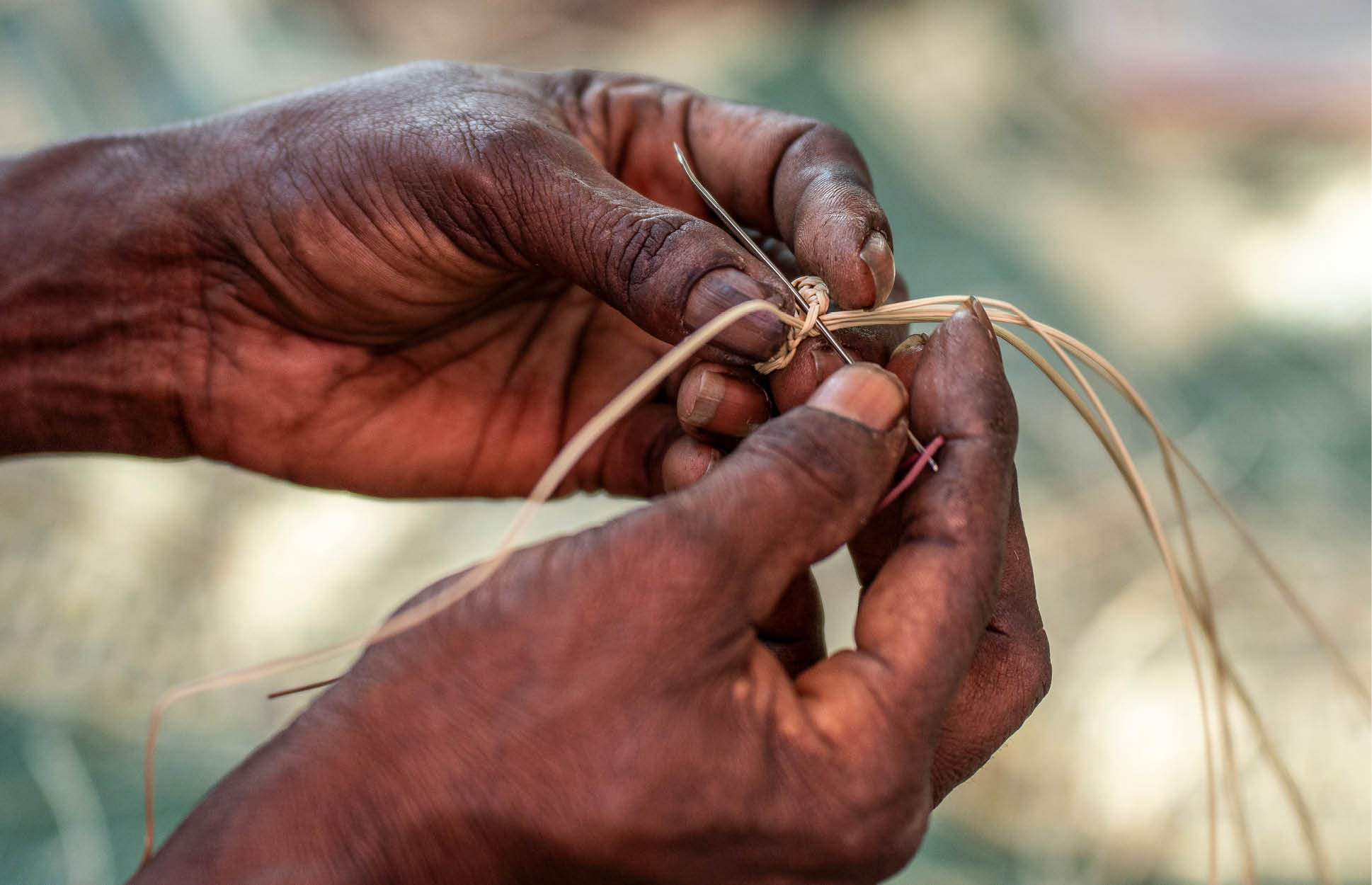 Photography: Various Clients - Sprout